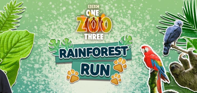 One Zoo Three Runner - Size of Wales Kids